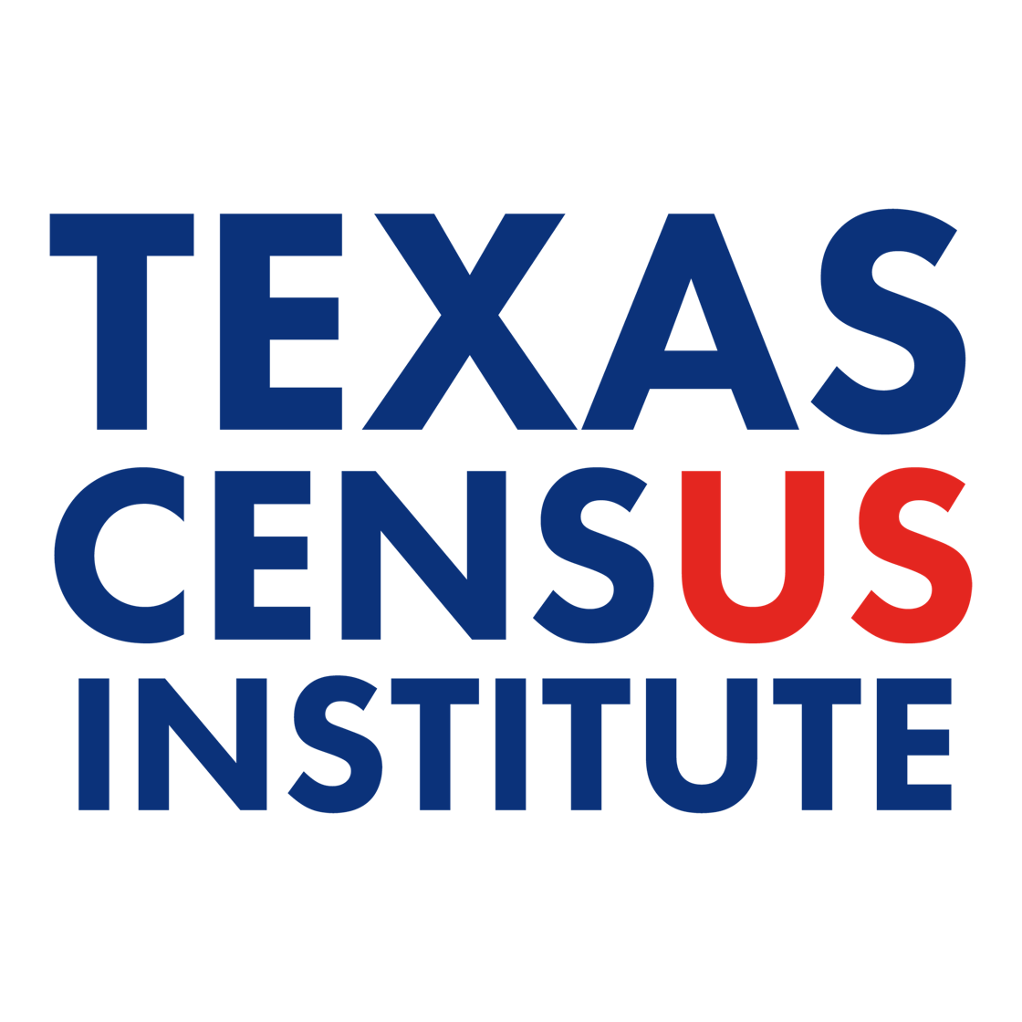 Why the Census Matters Now to Philanthropic ROI - Texas Census Institute